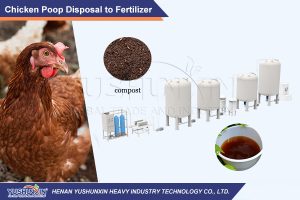 Turning Poultry Waste into Profit: The Process of Chicken Manure Liquid ...